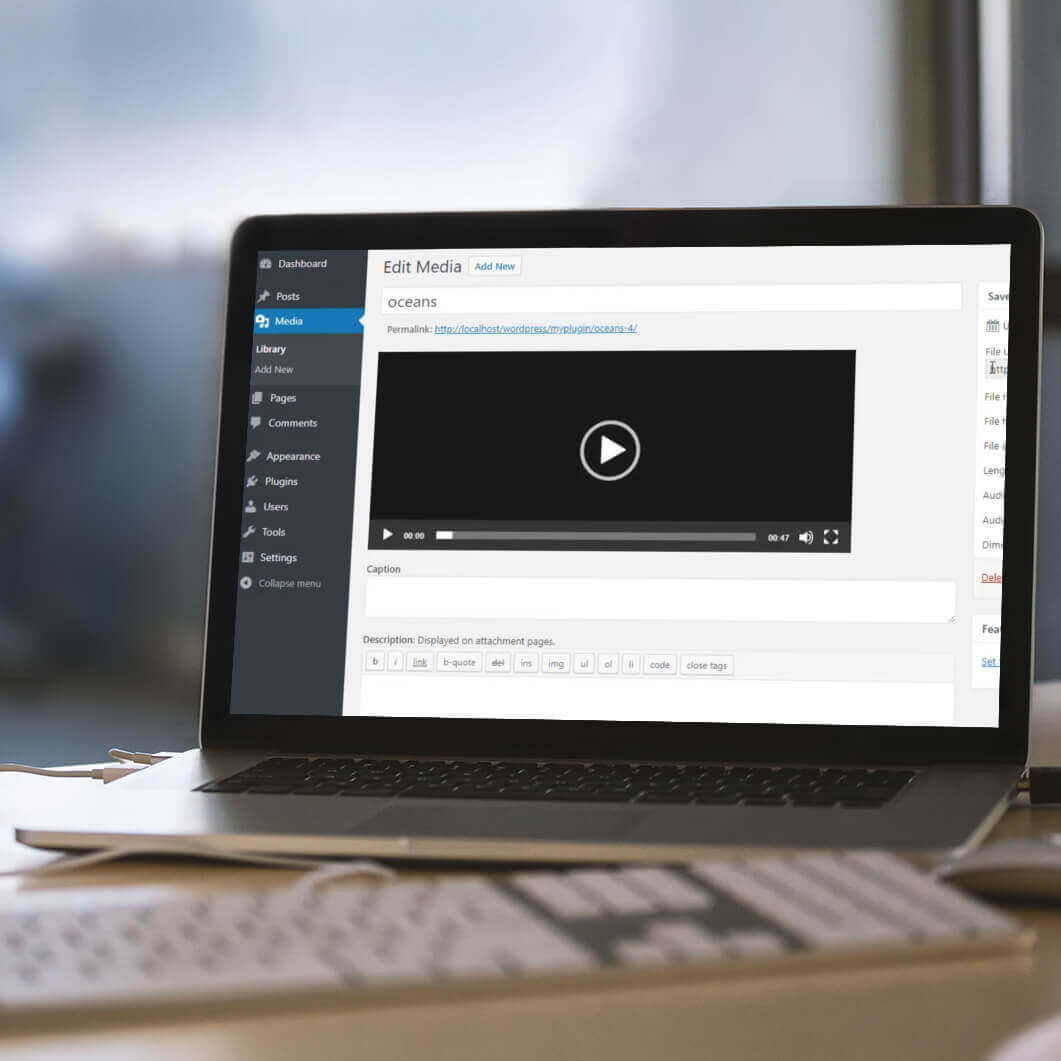 Anleitung: Selbstgehostetes .mp4-Video in Wordpress einbetten